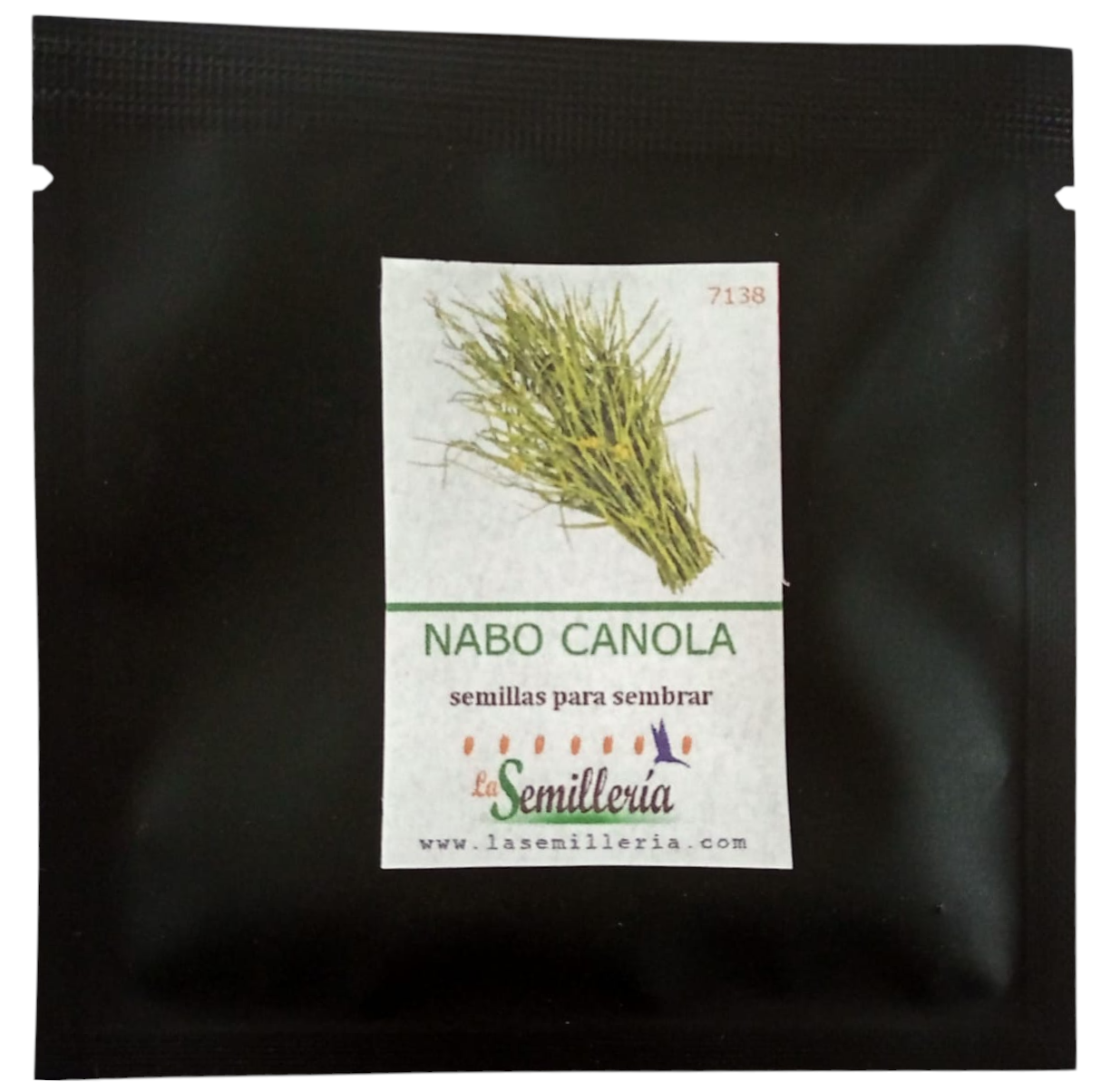 Semilla de Nabo Canola | Sobre de semillas para sembrar