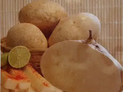 Semilla de Jícama | Semillas por Kilo y gramos